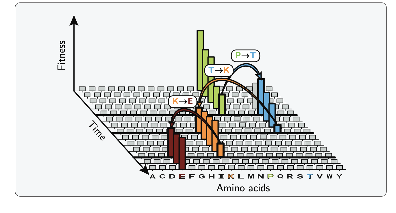 Gene adaptation across scales | Phylogenetrips